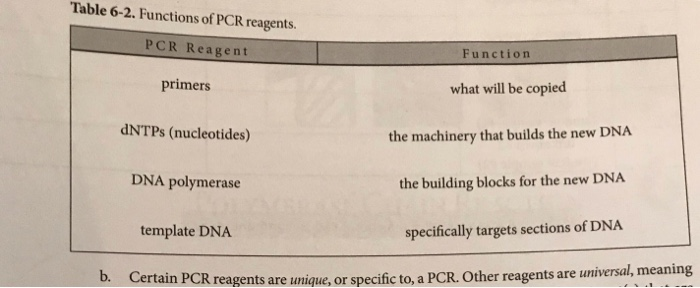 Solved Table 6-2. Functions of PCR reagents. PCR Reagent | Chegg.com
