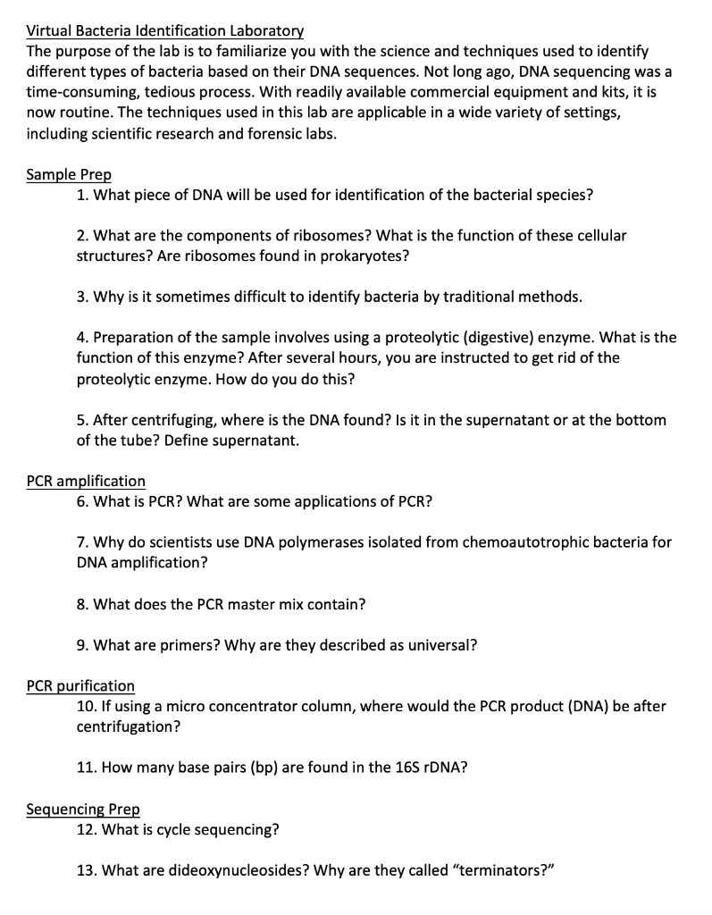 Solved Virtual Bacteria Identification Laboratory The | Chegg.com