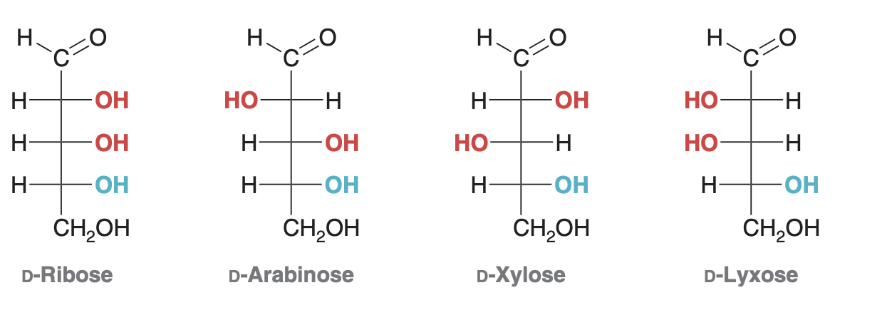 Solved 24 72 Consider The Structures Of The Four