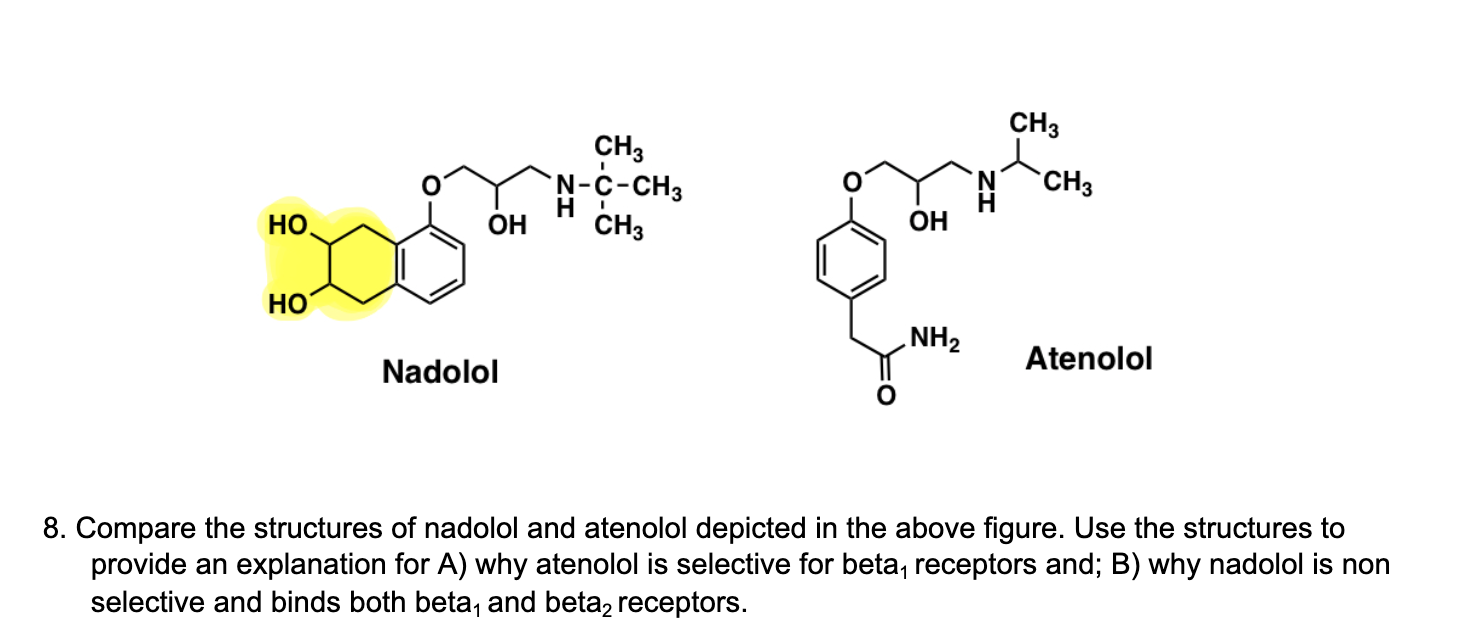 Solved Nadolol 8. Compare the structures of nadolol and | Chegg.com