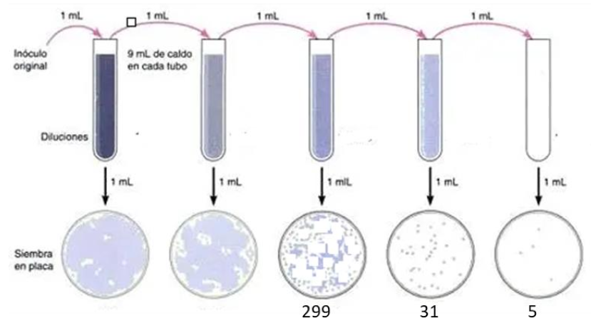 Solved Answer the following serial dilution exercises: 1. | Chegg.com