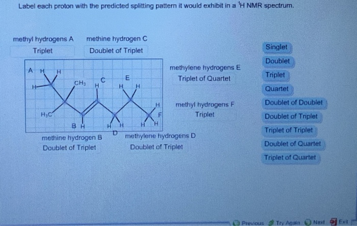 Solved Label each proton with the predicted splitting | Chegg.com