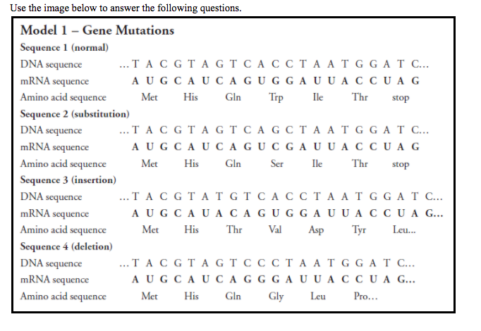 Solved All of the DNA and mRNA sequences in Model 1 | Chegg.com