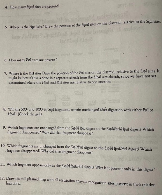 Solved Problem 2: Digested with SspI, Sspl/HpaI, SspI/PstI, | Chegg.com