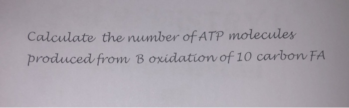 Solved Calculate the number of ATP molecules produced from B | Chegg.com