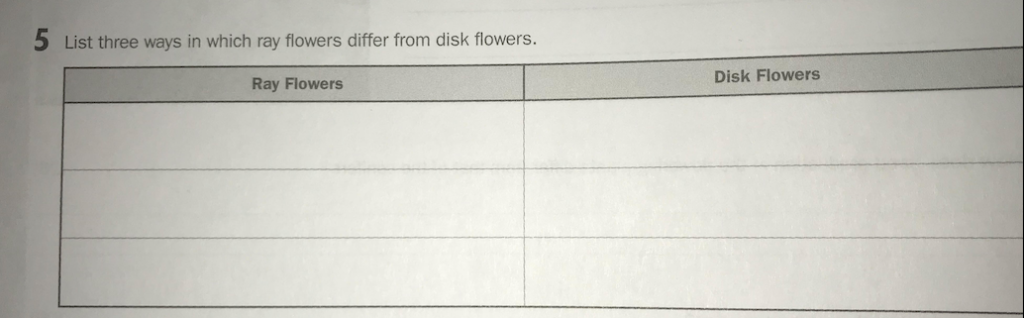 Solved 5 List three ways in which ray flowers differ from | Chegg.com