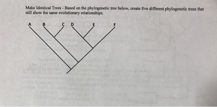 Solved Make Identical Trees -Based on the phylogenetic tree | Chegg.com