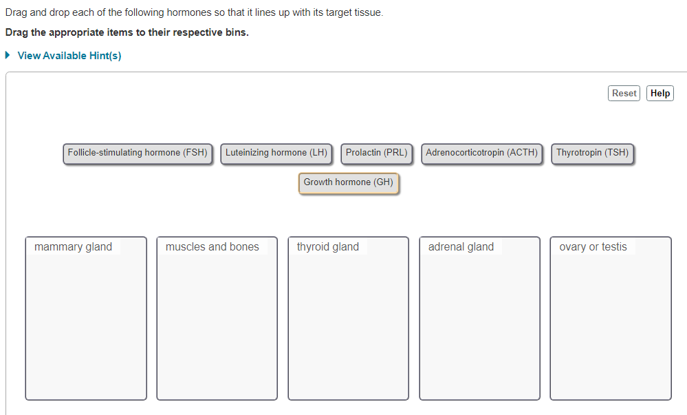 Solved Drag and drop each of the following hormones so that | Chegg.com