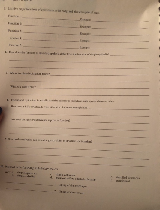Solved LAB TIME/DATE 6 REVIEW SHEET EXERCISE Classification | Chegg.com Solved LAB TIME/DATE 6 REVIEW SHEET EXERCISE Classification | Chegg.com