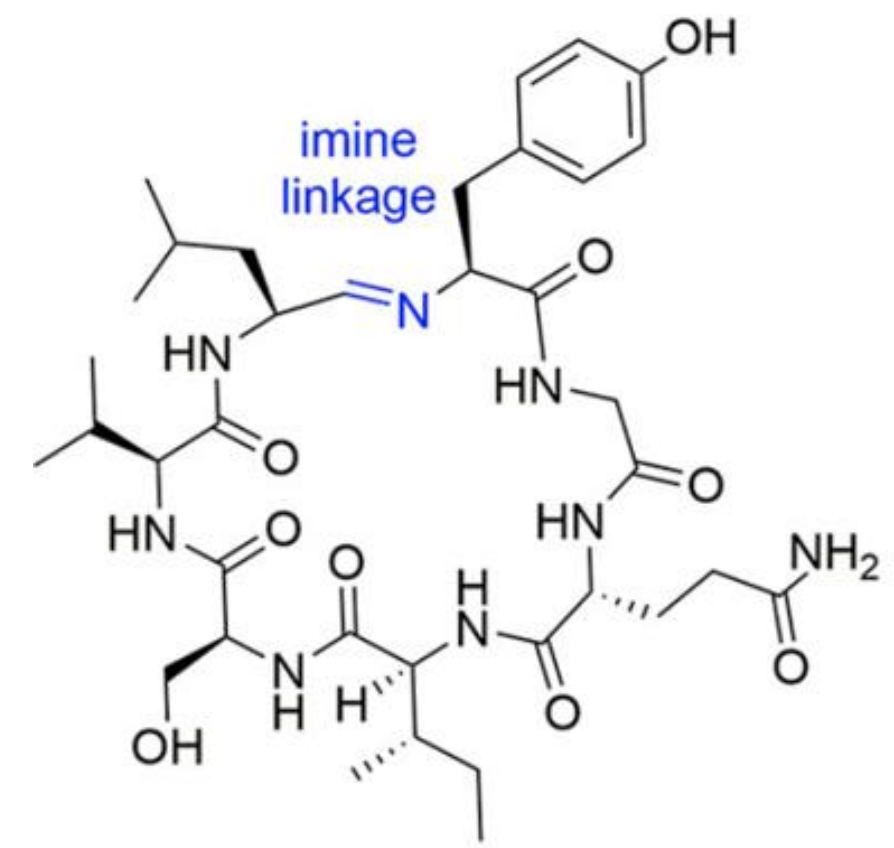 Solved Develop a synthetic plan for following molecule: | Chegg.com