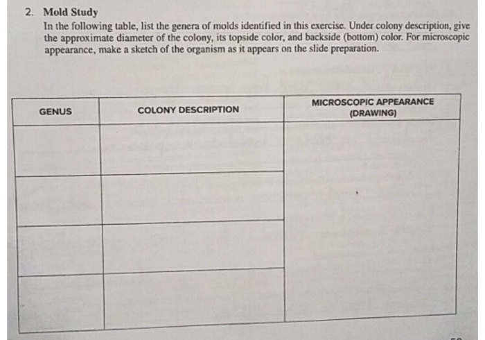 2. Mold Study In the following table, list the genera | Chegg.com
