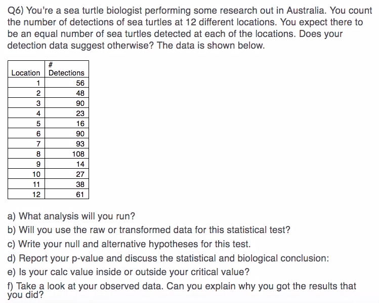 Solved Q6) You're a sea turtle biologist performing some | Chegg.com