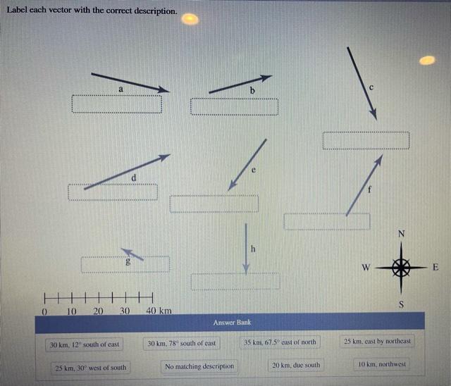 Solved Label each vector with the correct description. | Chegg.com Solved Label each vector with the correct description. | Chegg.com