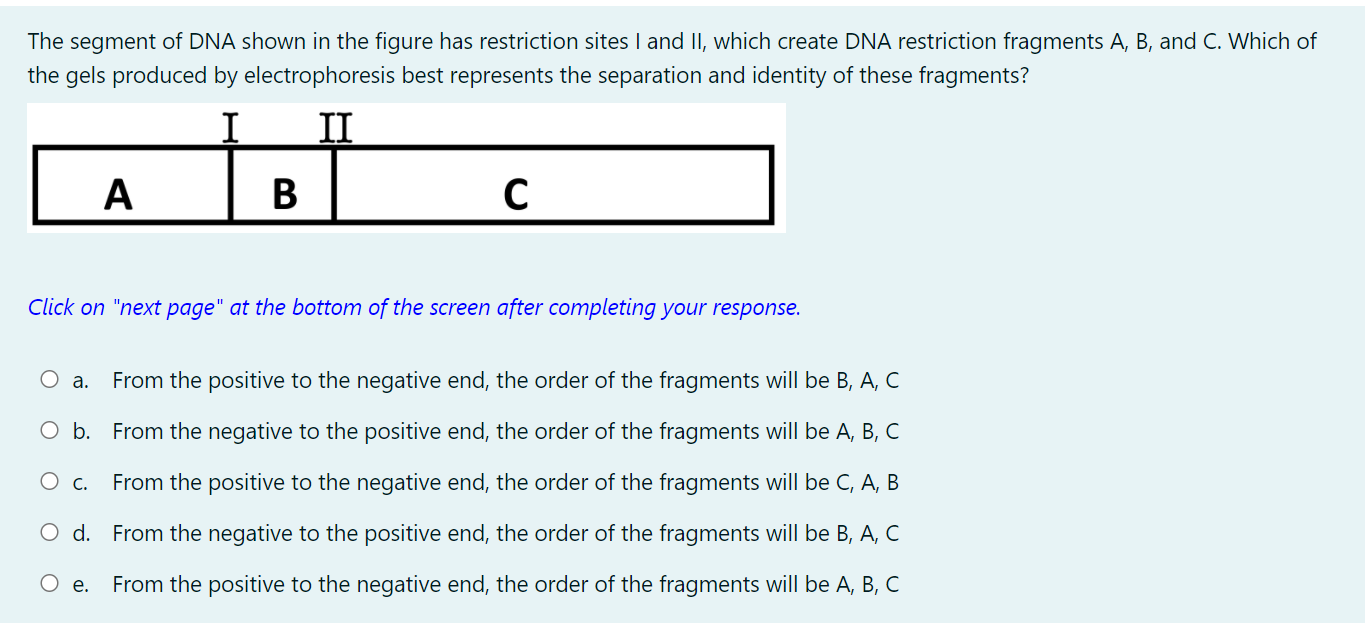 Solved The segment of DNA shown in the figure has | Chegg.com