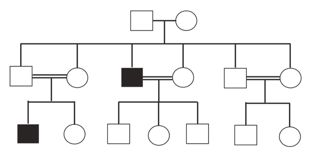 Solved The pedigree shows inheritance of an | Chegg.com