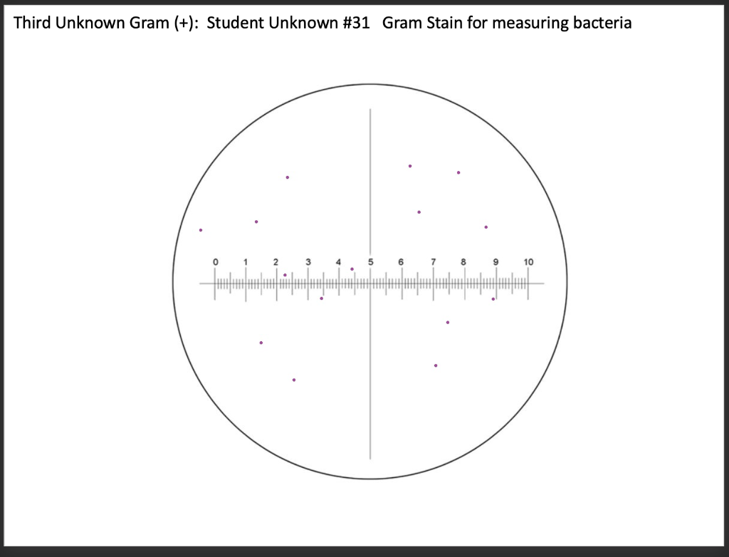 Solved Third Unknown - Gram (+) Use these PPT images and the | Chegg.com