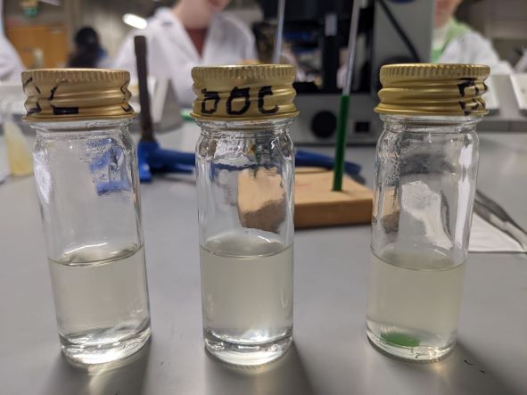 Solved 1) Label 3 universal bottles A,18, and C. 2) Pour | Chegg.com