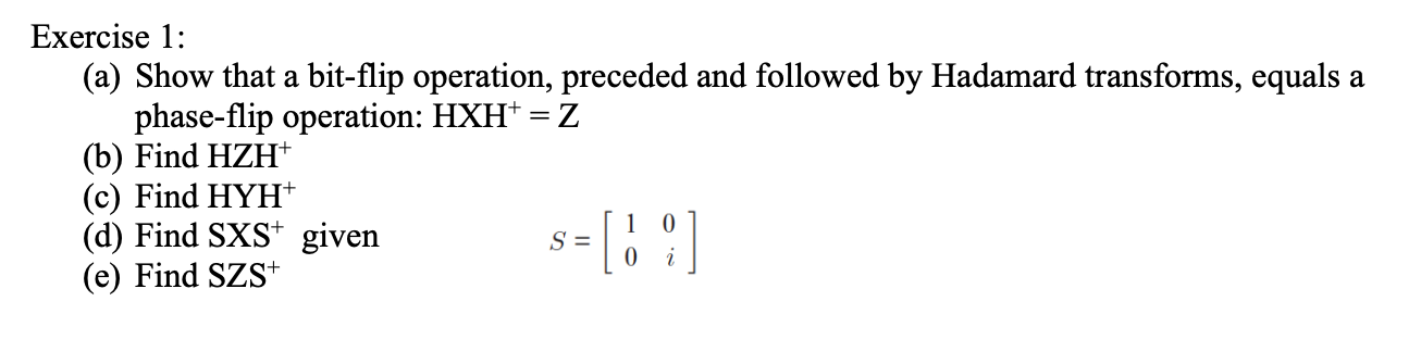 Solved Exercise 1:(a) ﻿Show that a bit-flip operation, | Chegg.com