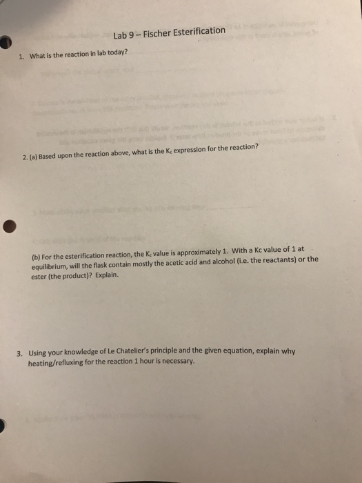 Solved Lab 9- Fischer Esterification Purpose To perform a | Chegg.com