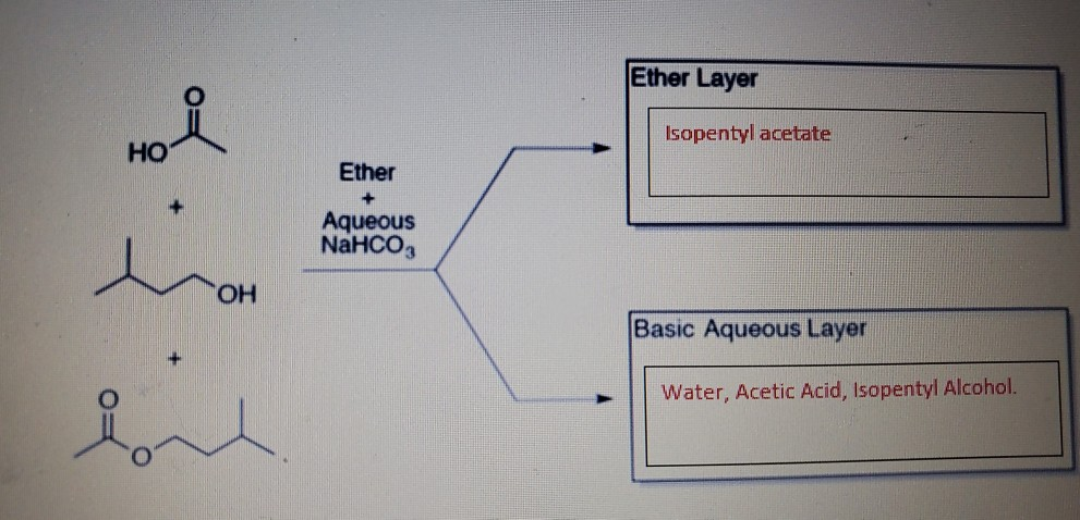 Solved 1) During the workup, you added NaHCO3 to the | Chegg.com