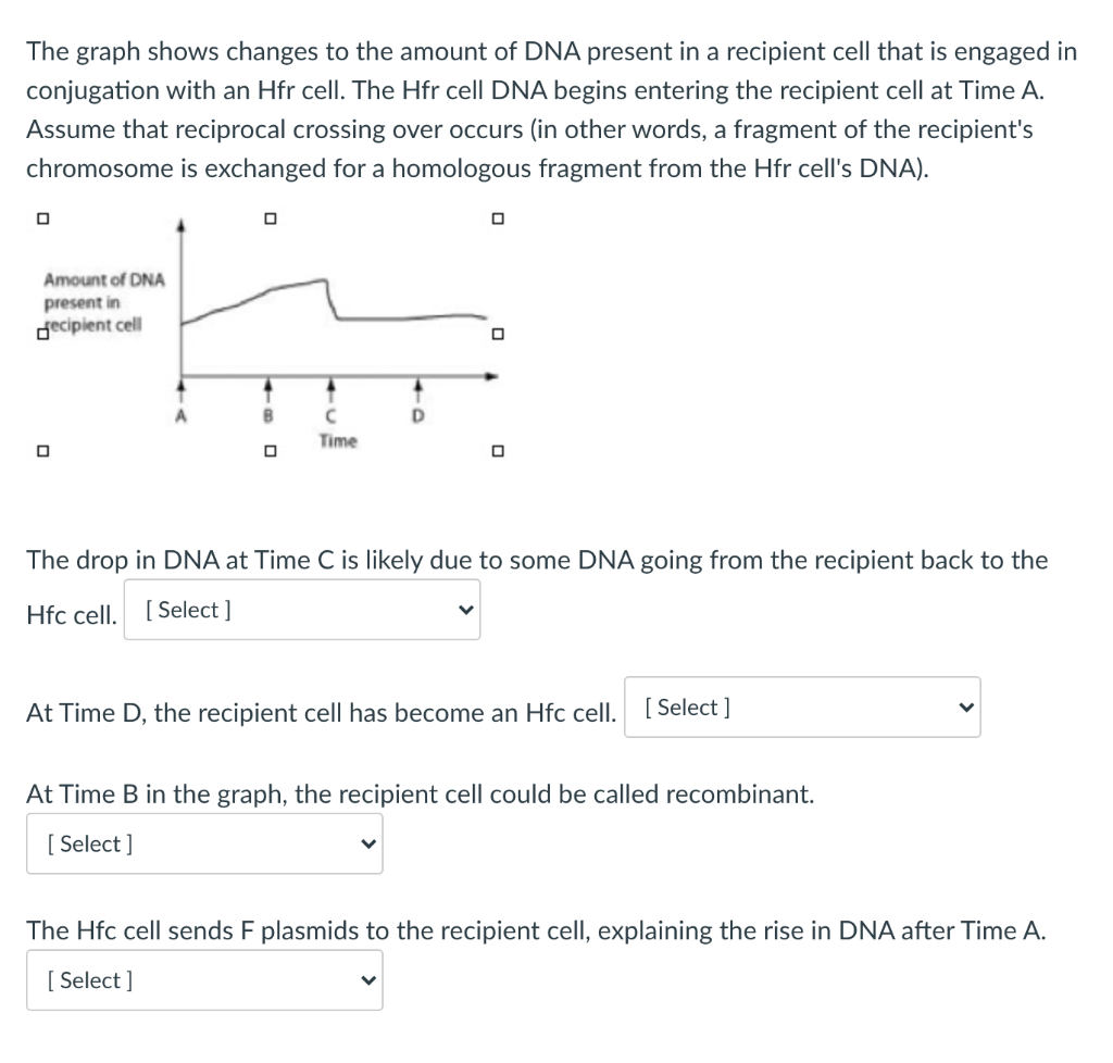 Solved The graph shows changes to the amount of DNA present | Chegg.com