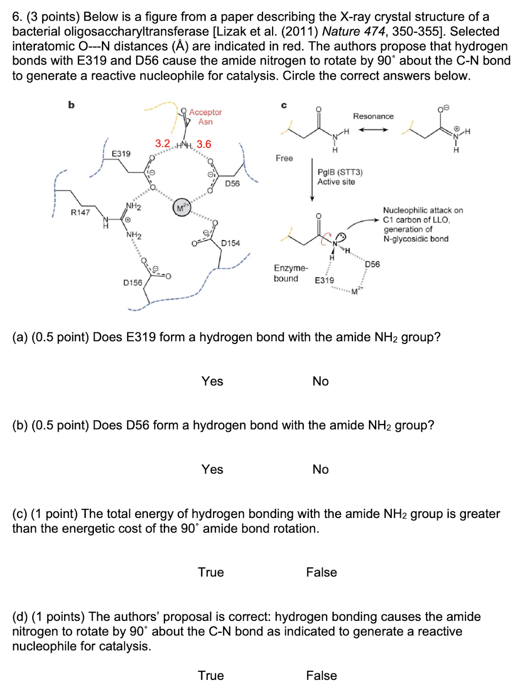 Solved The authors propose that hydrogen bonds with E319 | Chegg.com