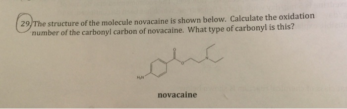 Solved The structure of the molecule novacaine is shown | Chegg.com