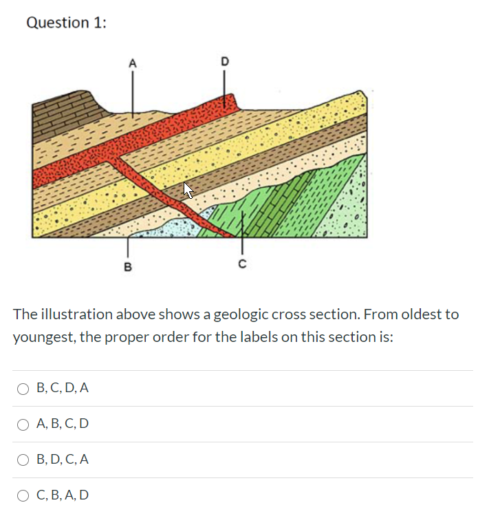 Solved Question 1: А D B с The illustration above shows a | Chegg.com