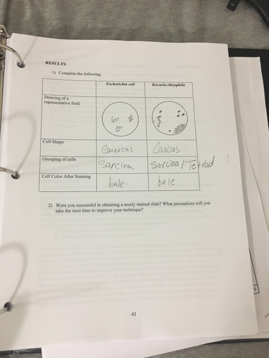 Solved MODULE S SIMPLE STAINING OBJECTIVES Be familiar or be | Chegg.com