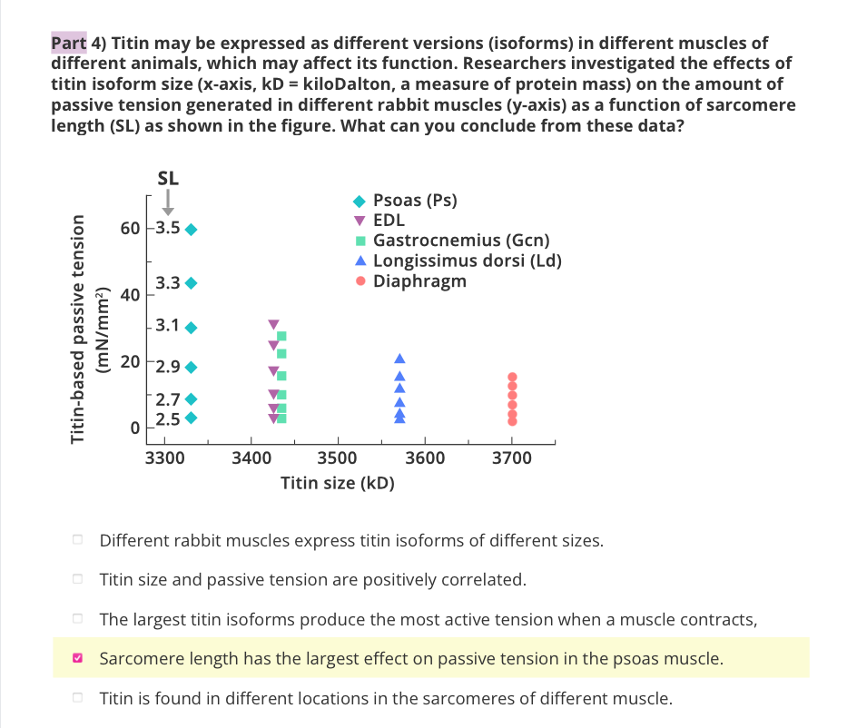 Solved Part 4) Titin may be expressed as different versions | Chegg.com
