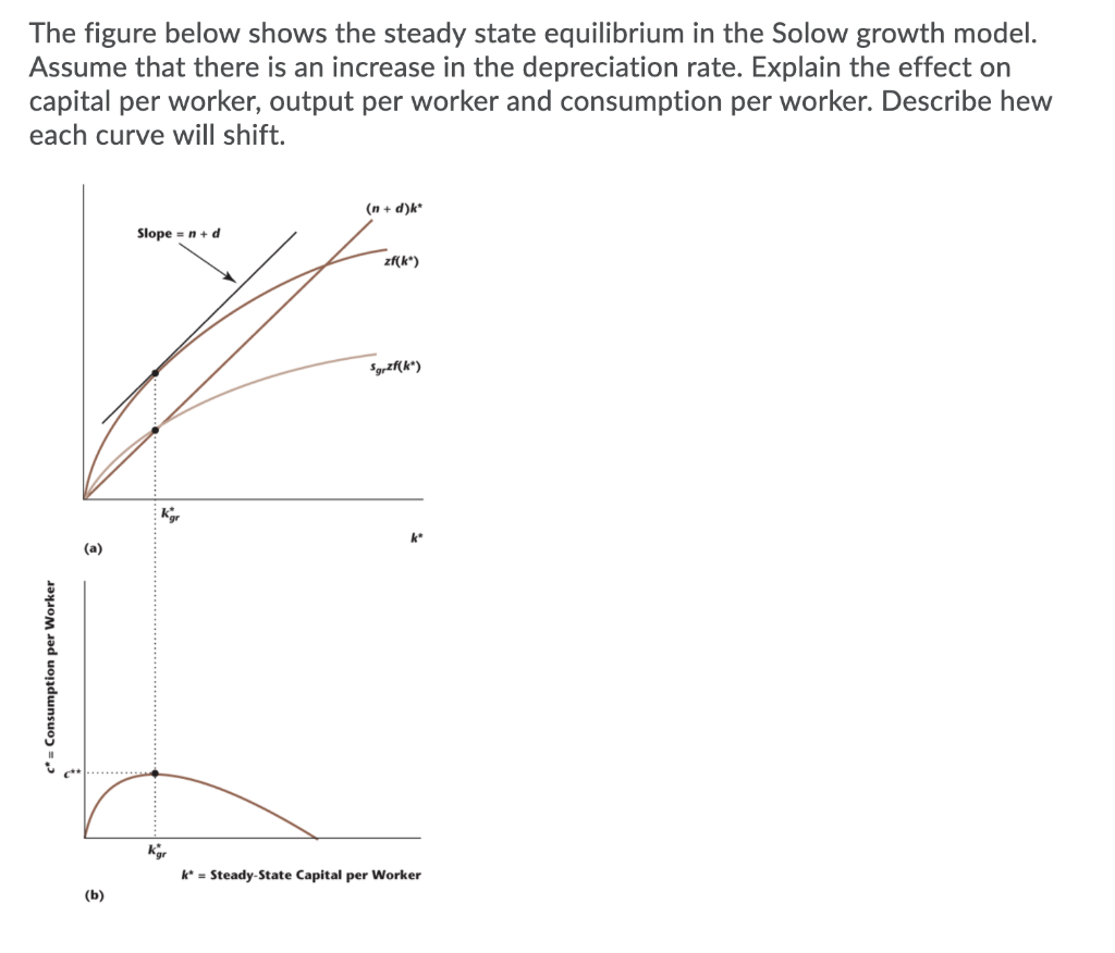 The figure below shows the steady state equilibrium | Chegg.com