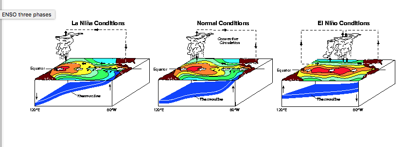 Solved 2-what best describes the ENSO normal or | Chegg.com