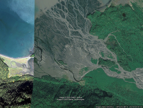 Solved Can you indicate with an arrow on each image the | Chegg.com