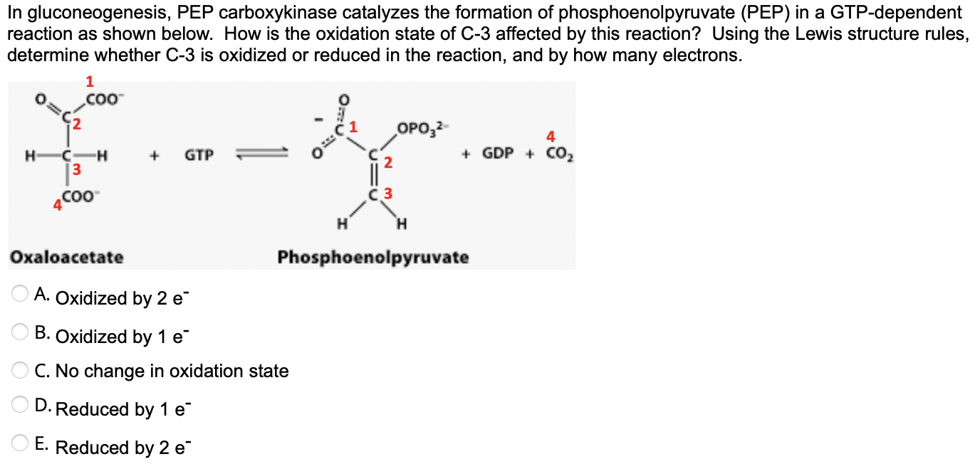 Solved In gluconeogenesis, PEP carboxykinase catalyzes the | Chegg.com