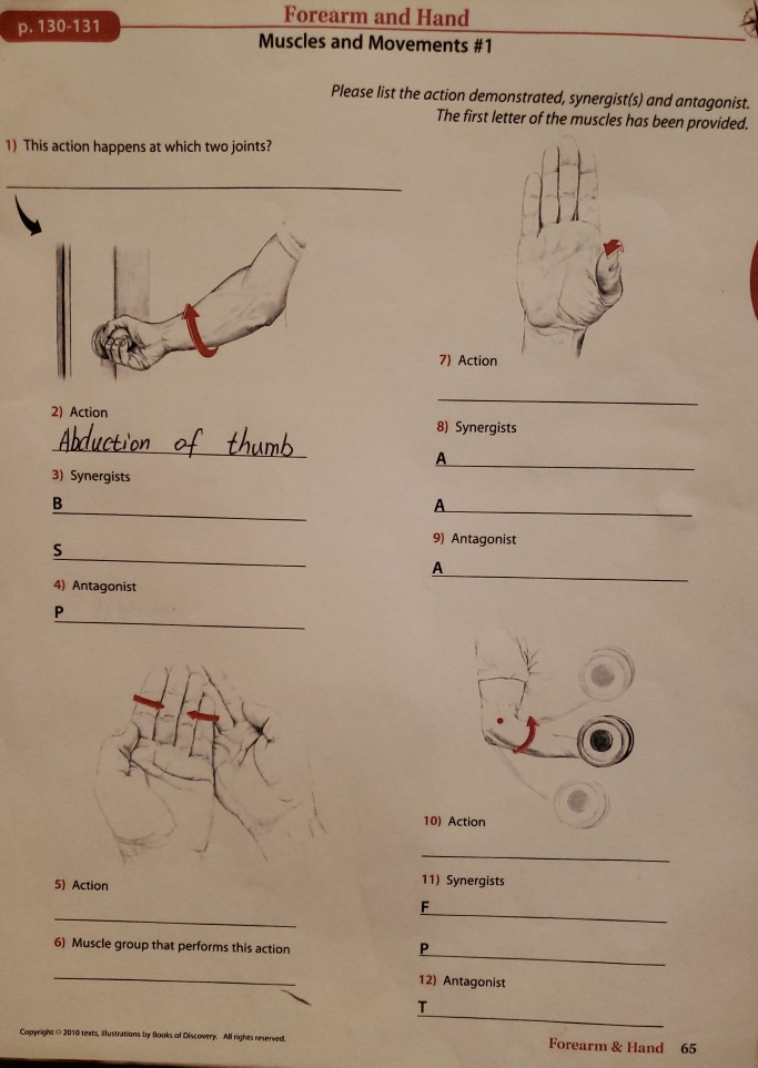 Solved p. 130-131 Forearm and Hand Muscles and Movements #1 | Chegg.com