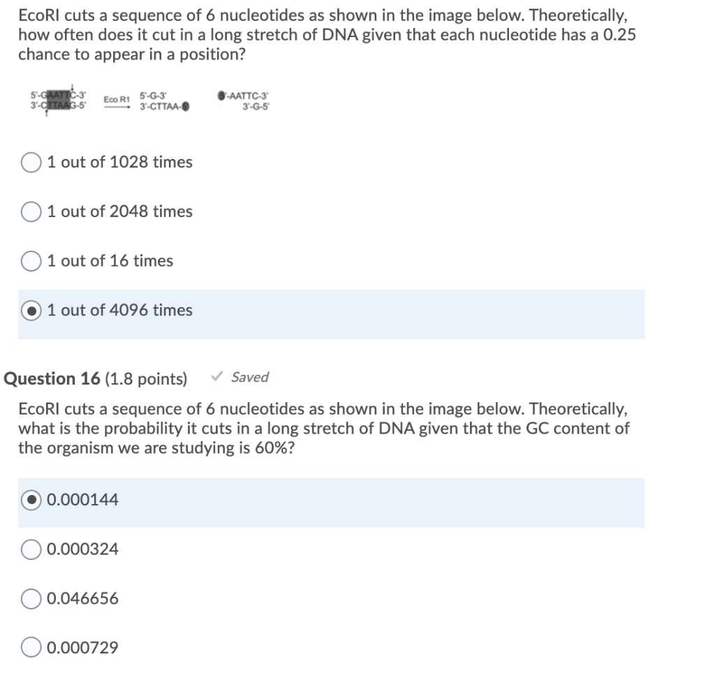 Solved EcoRI cuts a sequence of 6 nucleotides as shown in | Chegg.com