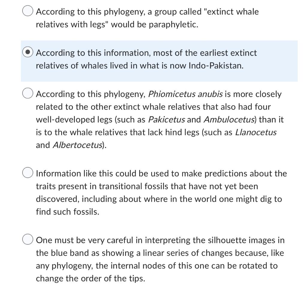 Solved The phylogeny shown below is from a recent paper by | Chegg.com