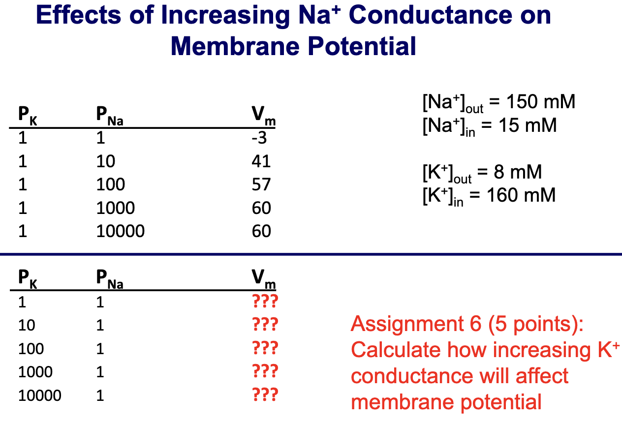 Solved Goldman-Hodgkin-Katz Equation Used to calculate | Chegg.com