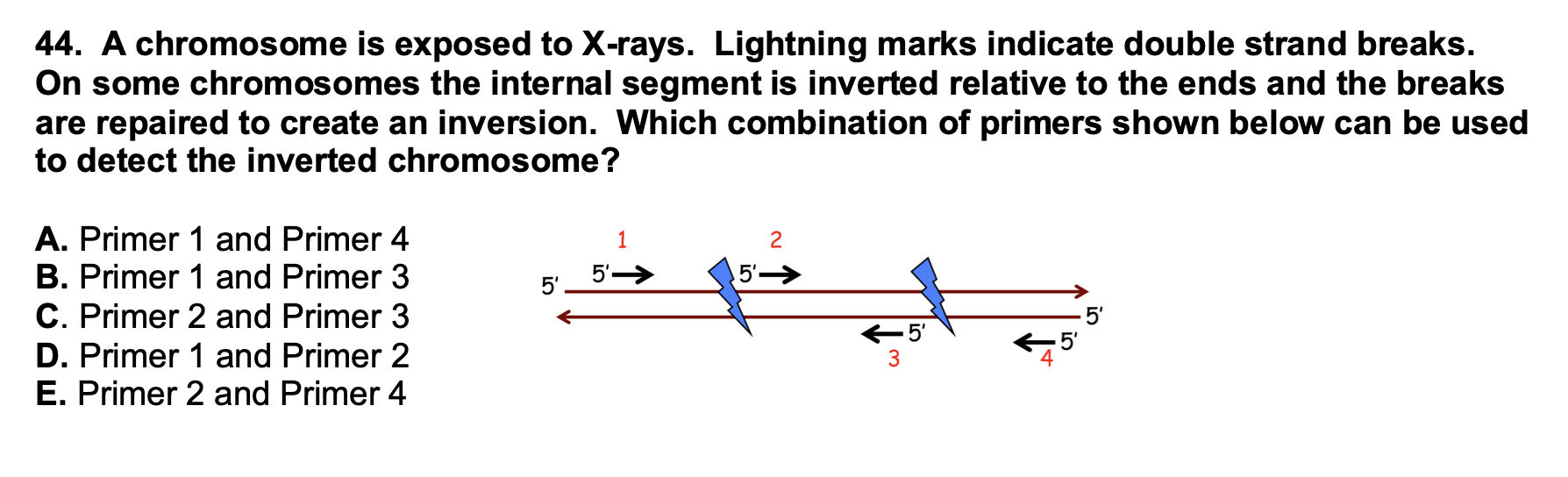 Solved 44. A chromosome is exposed to X-rays. Lightning | Chegg.com