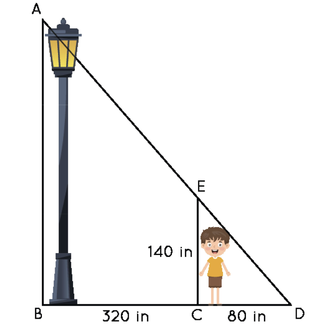 Solved James is 140 in tall. He is standing 320 in away from | Chegg.com