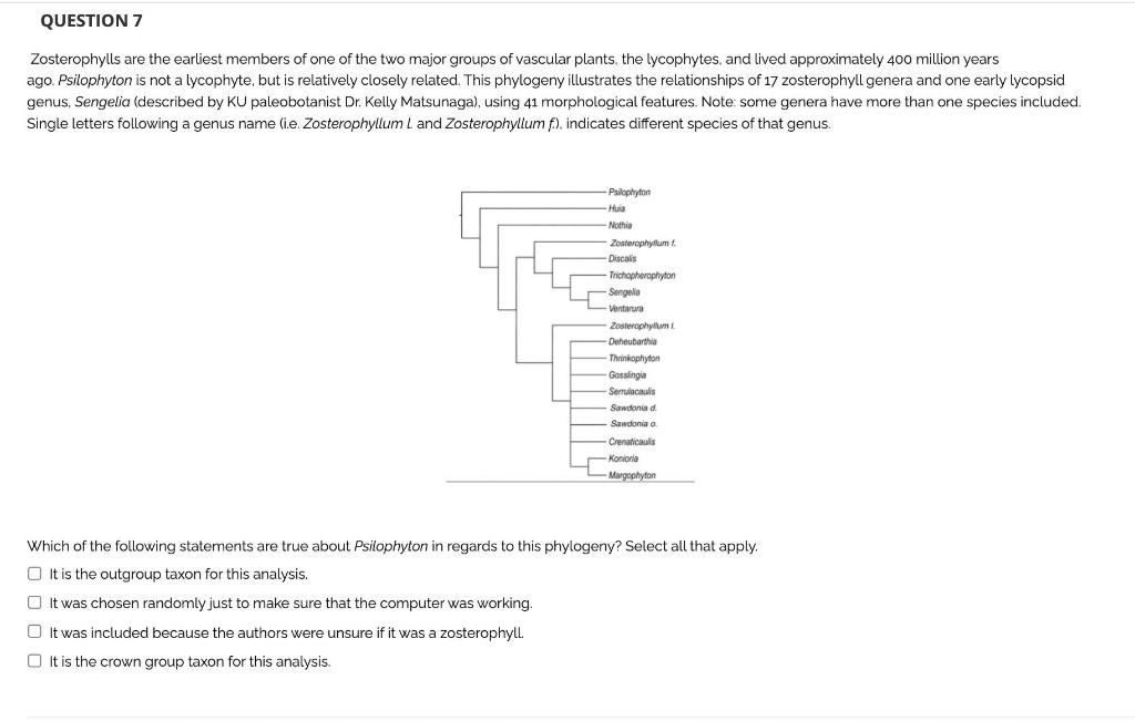 Solved QUESTION 7 Zosterophylls are the earliest members of | Chegg.com