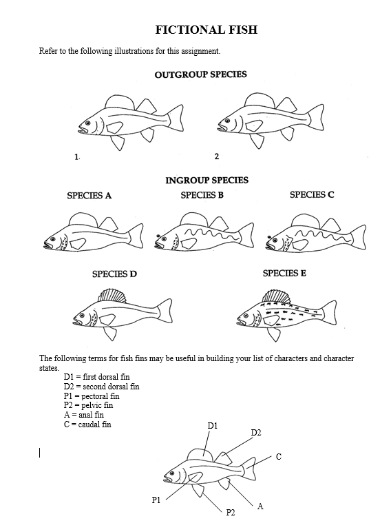 1._13pts.) Closely scrutinize the hypothetical fish | Chegg.com