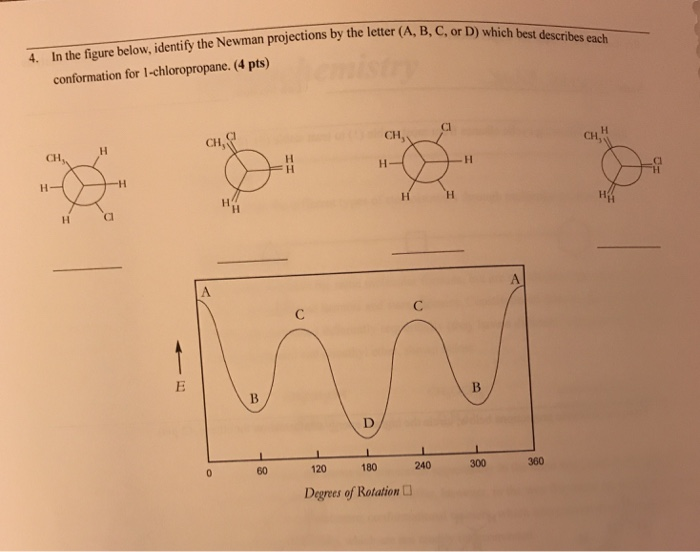 Solved 4. In the figure below, identify the Newman | Chegg.com
