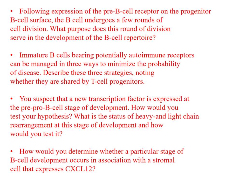 Solved - Following expression of the pre-B-cell receptor on | Chegg.com