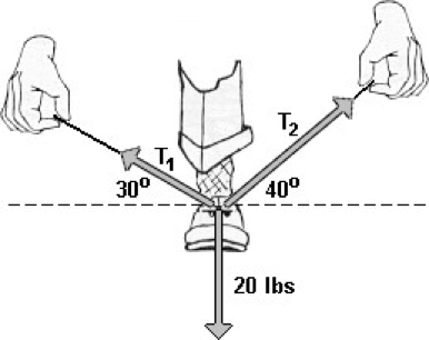 Solved While tying his shoes, a person holds the shoestrings | Chegg.com
