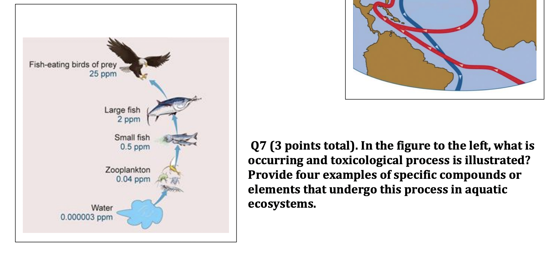 Solved Q7 (3 points total). In the figure to the left, what | Chegg.com