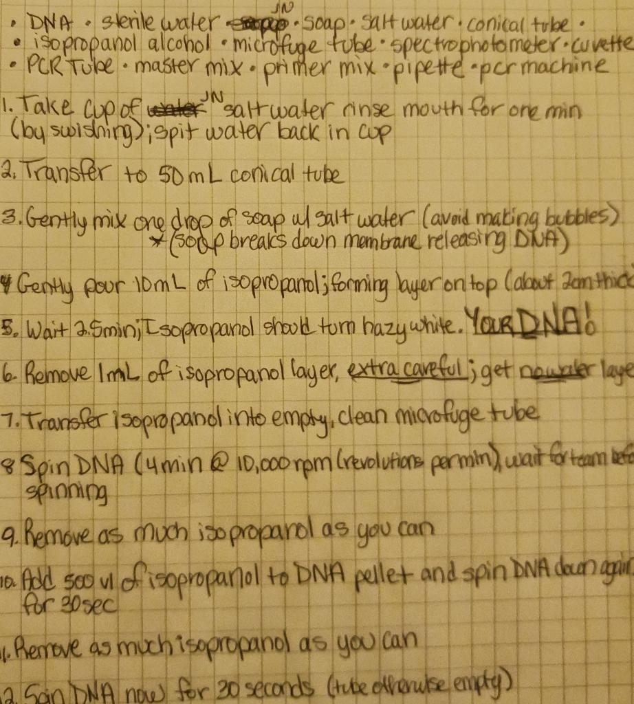 - DNA sterile water soep. soap- salt water. conical | Chegg.com