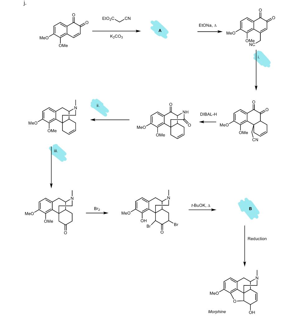 Solved j. EtO2C CN EtON, A A Me0 Me01 K2CO3 OME OMe NC ii. | Chegg.com
