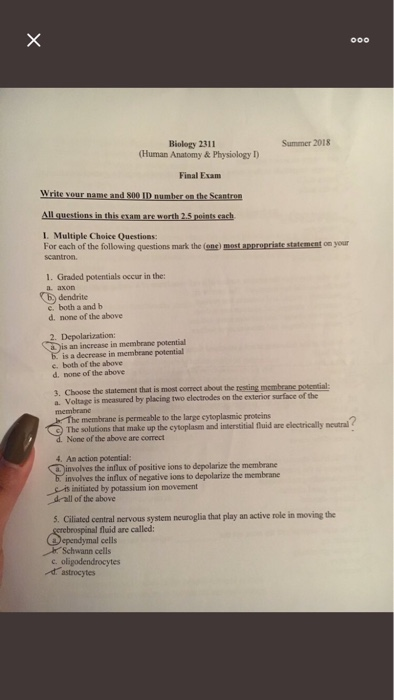 Anatomy And Physiology Final Exam Multiple Choice Anatomical Charts Anatomy And Physiology Final Exam Multiple Choice Anatomical Charts