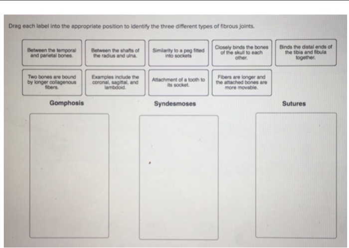 Solved Drag each label into the appropriate position to | Chegg.com